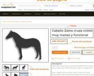 Descubre los diferentes tipos de monturas para caballos