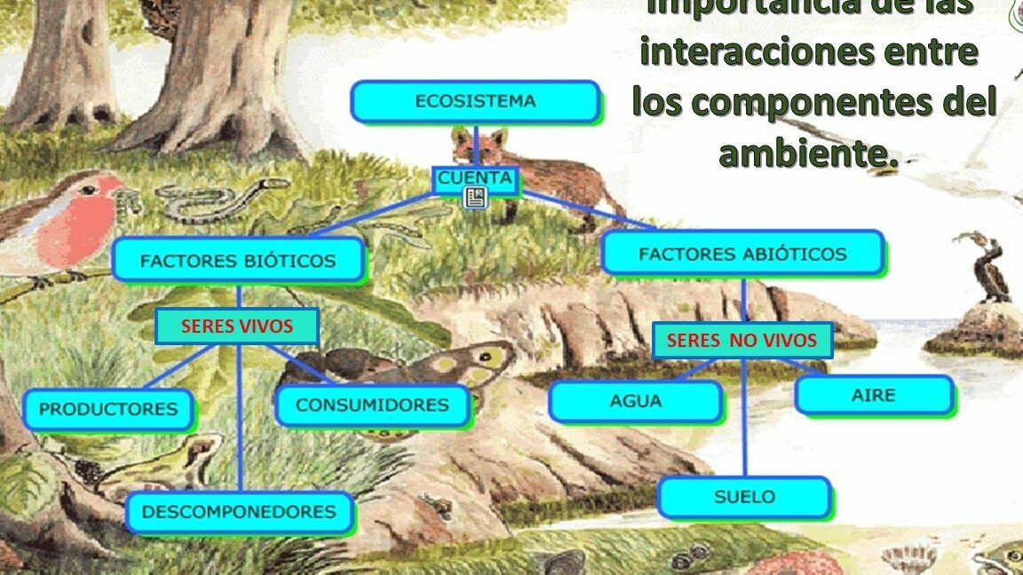 Interacciones en el medio ambiente: importancia ecológica